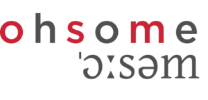 Introducing the ohsome OSM History Analytics Platform – HeiGIT